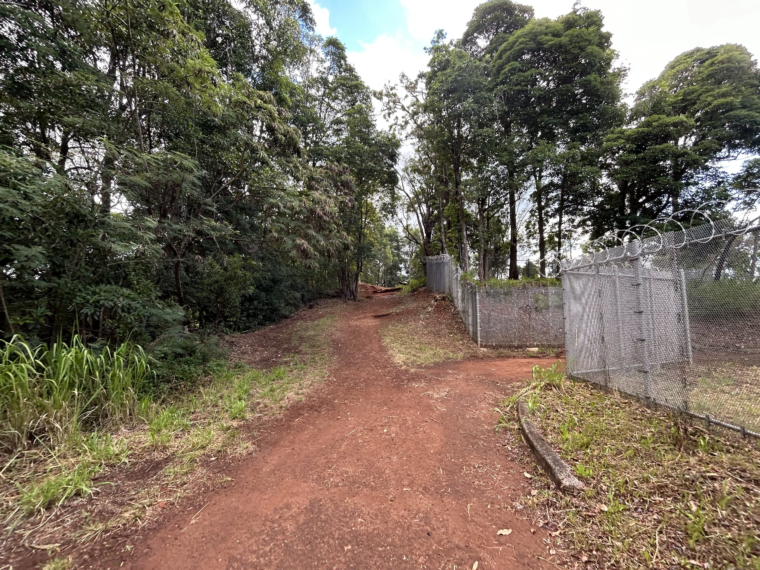 Hiking the Mānana Ridge Trail on Oʻahu, Hawaiʻi — noahawaii