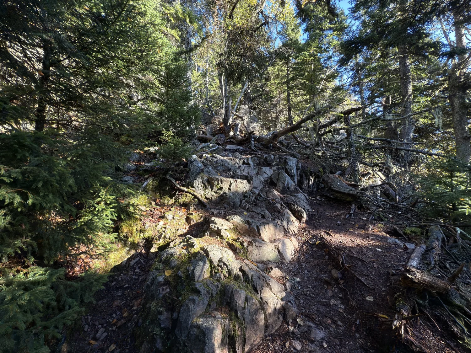 Hiking the Anvil-Schoodic Head-Alder Loop Trail in Acadia National Park ...