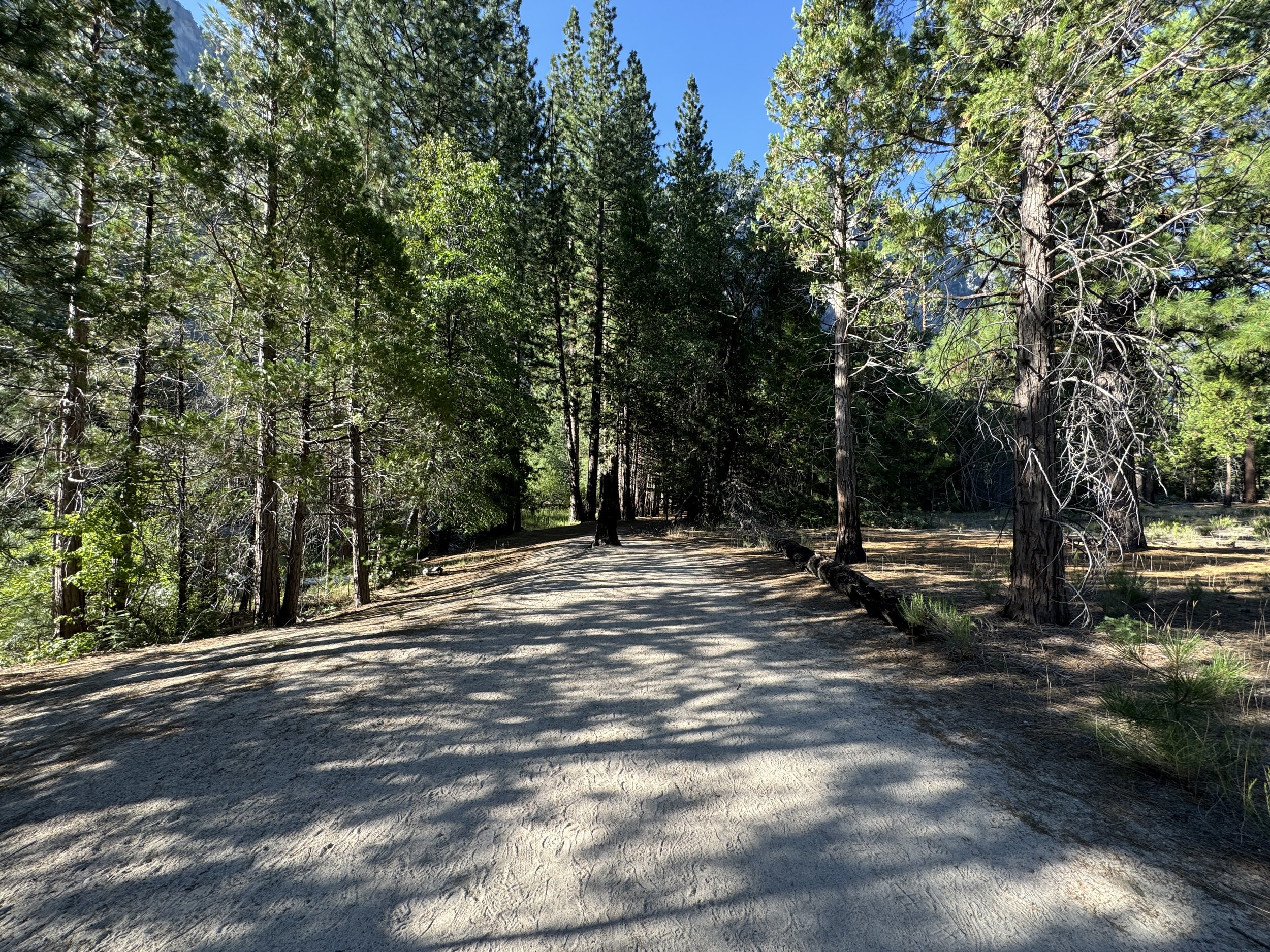 Hiking the Zumwalt Meadow Loop Trail in Kings Canyon National Park ...