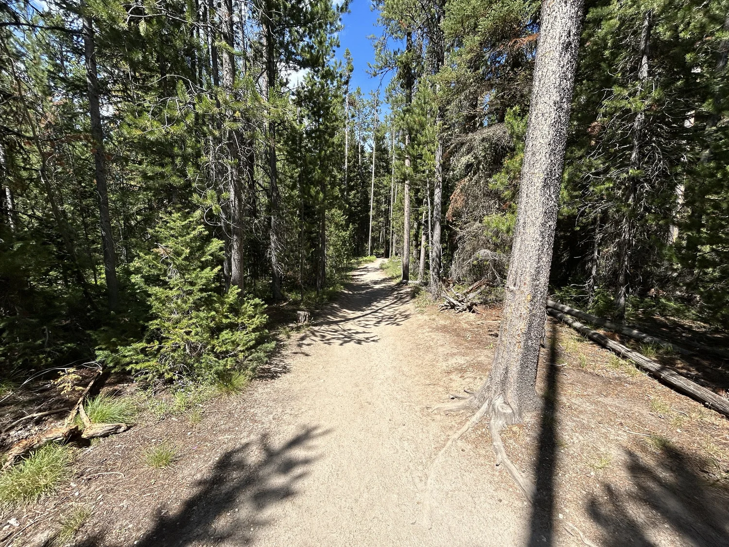 Hiking the String Lake Loop Trail in Grand Teton National Park — noahawaii