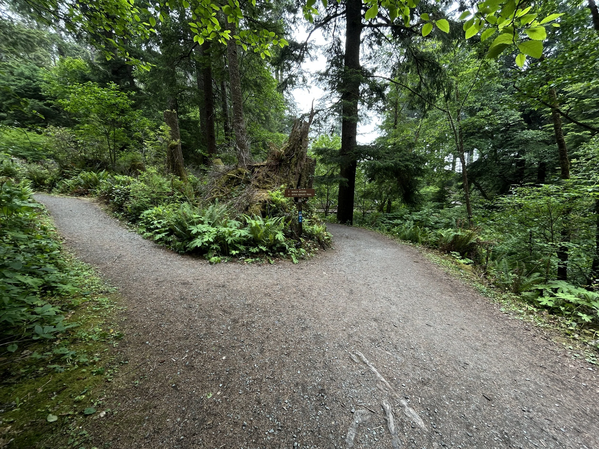 Hiking the Short Sand Beach Trail on the Oregon Coast — noahawaii