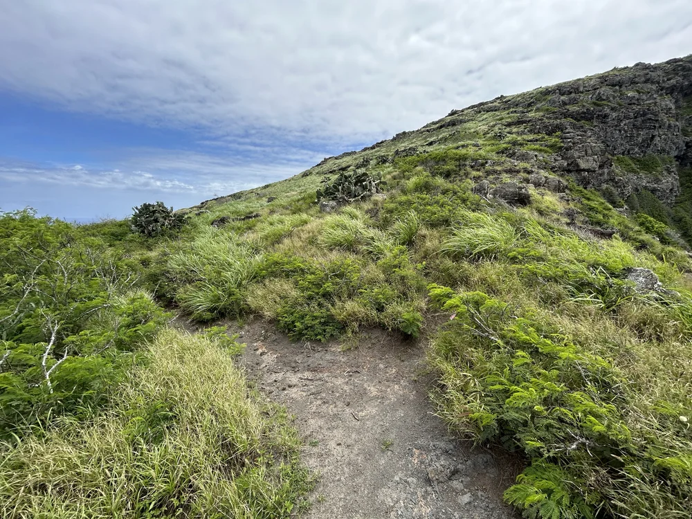 Hiking the Makapuʻu Tom Tom Trail on Oʻahu, Hawaiʻi — noahawaii