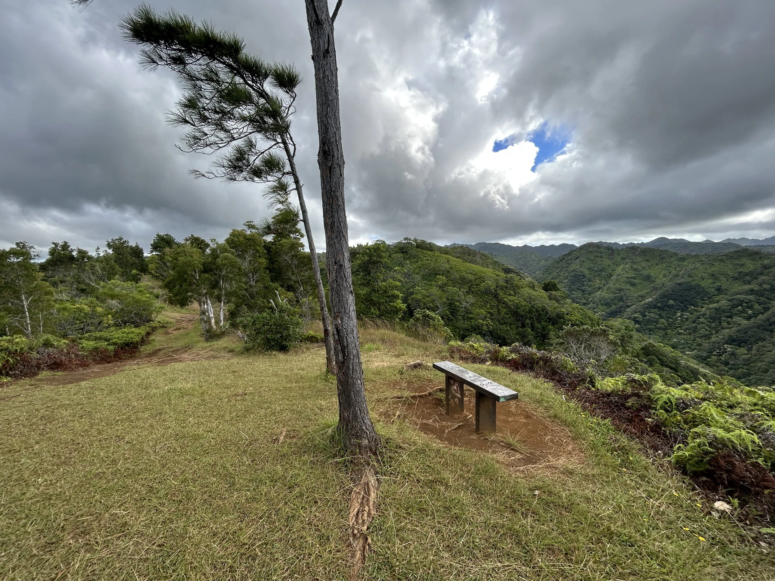 Hiking the Mānana Ridge Trail on Oʻahu — noahawaii