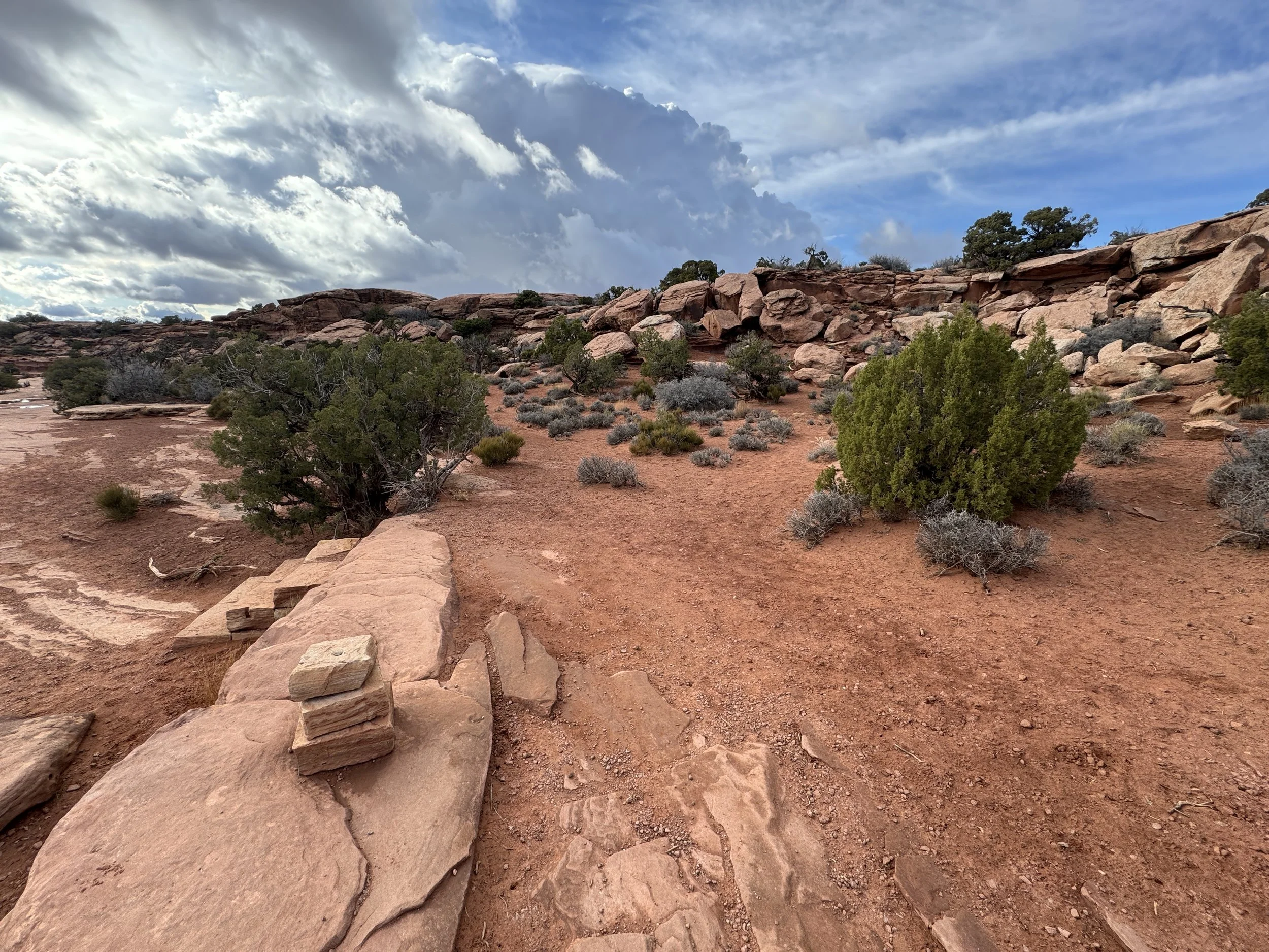 Hiking the Grand View Point Trail in Canyonlands National Park — noahawaii