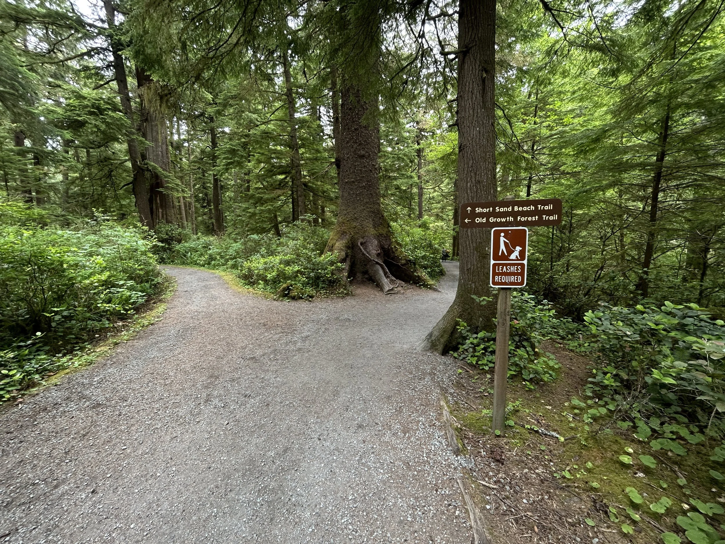 Hiking the Short Sand Beach Trail on the Oregon Coast — noahawaii