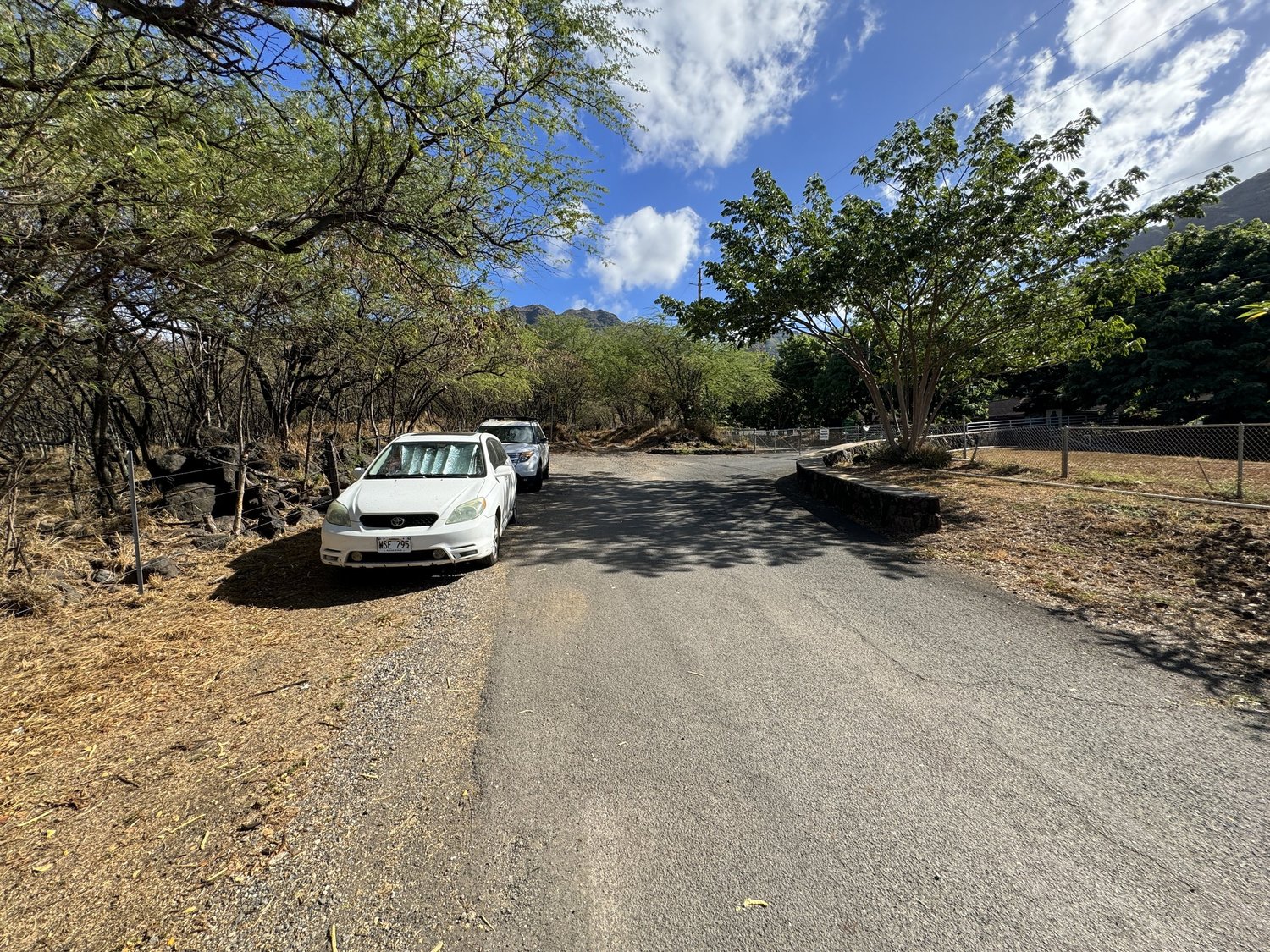 Hiking the Keaʻau Middle Ridge Trail on Oʻahu, Hawaiʻi — noahawaii