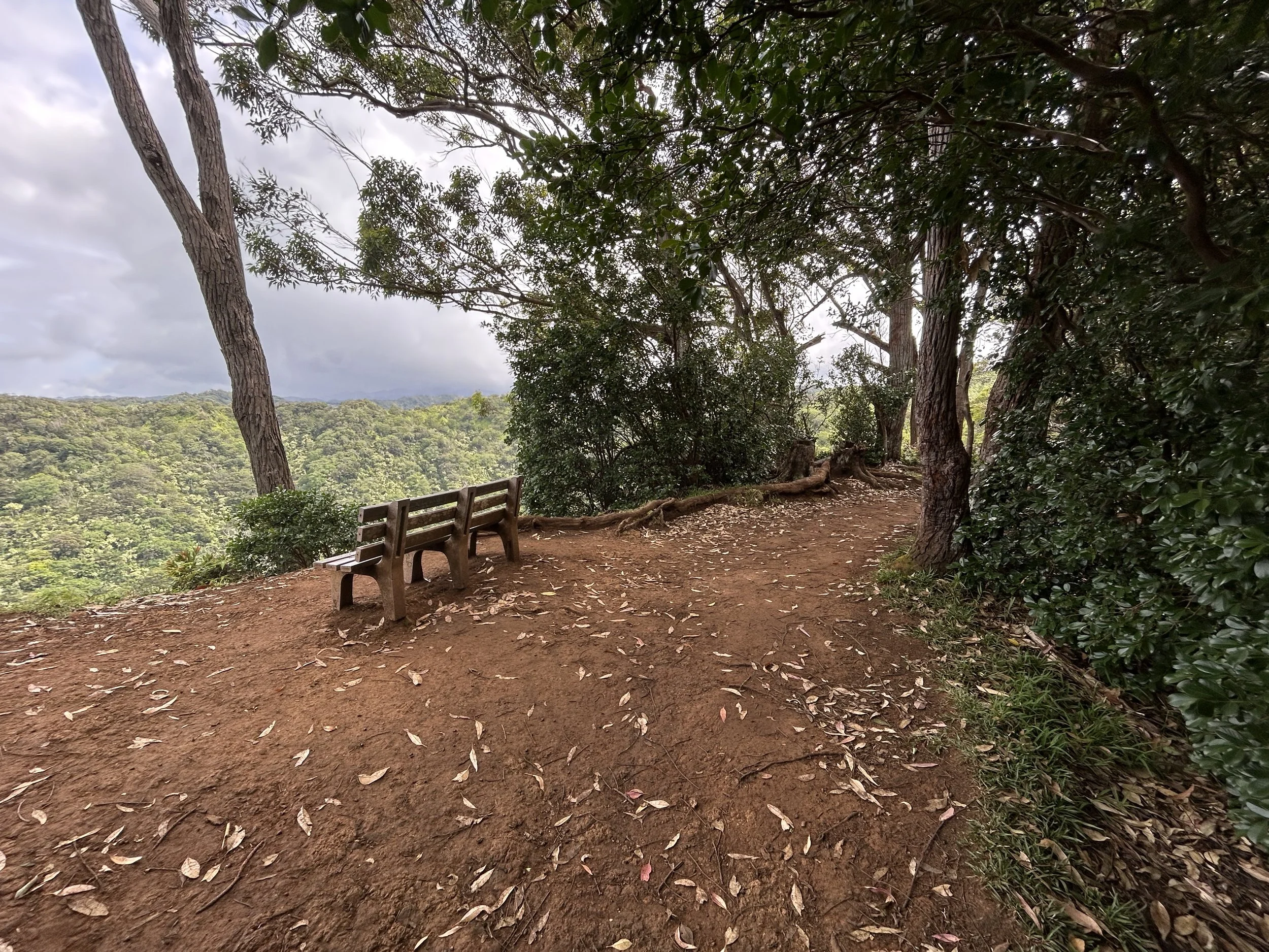 Hiking the ʻAiea Loop Trail on Oʻahu, Hawaiʻi — noahawaii