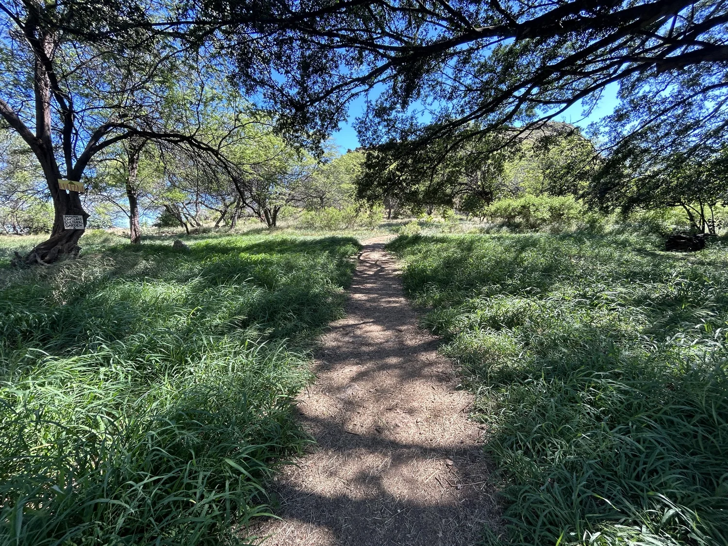 Hiking the Mauna Lahilahi Trail (Turtle Rock) on Oʻahu, Hawaiʻi — noahawaii