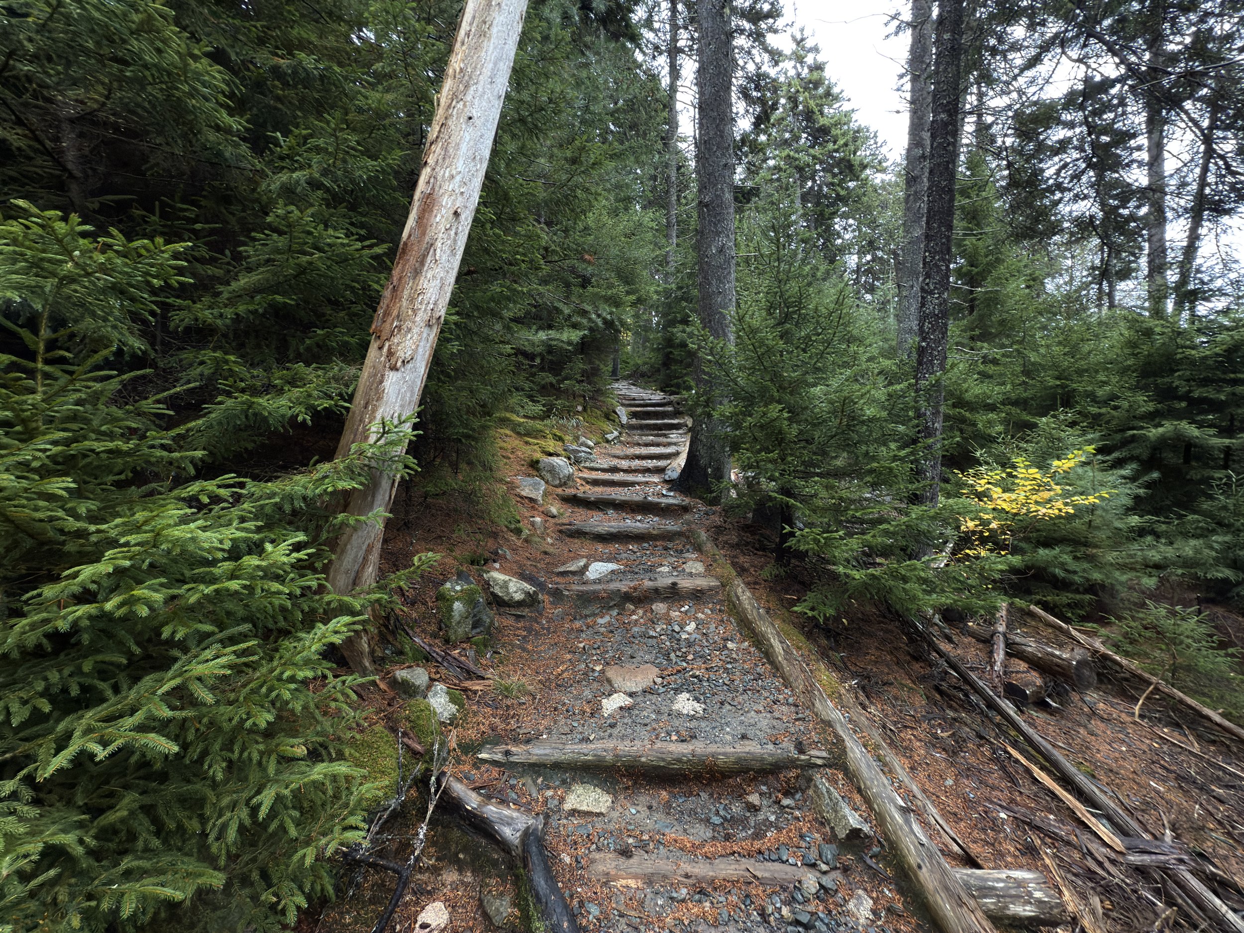 Hiking the Flying Mountain Trail in Acadia National Park — noahawaii