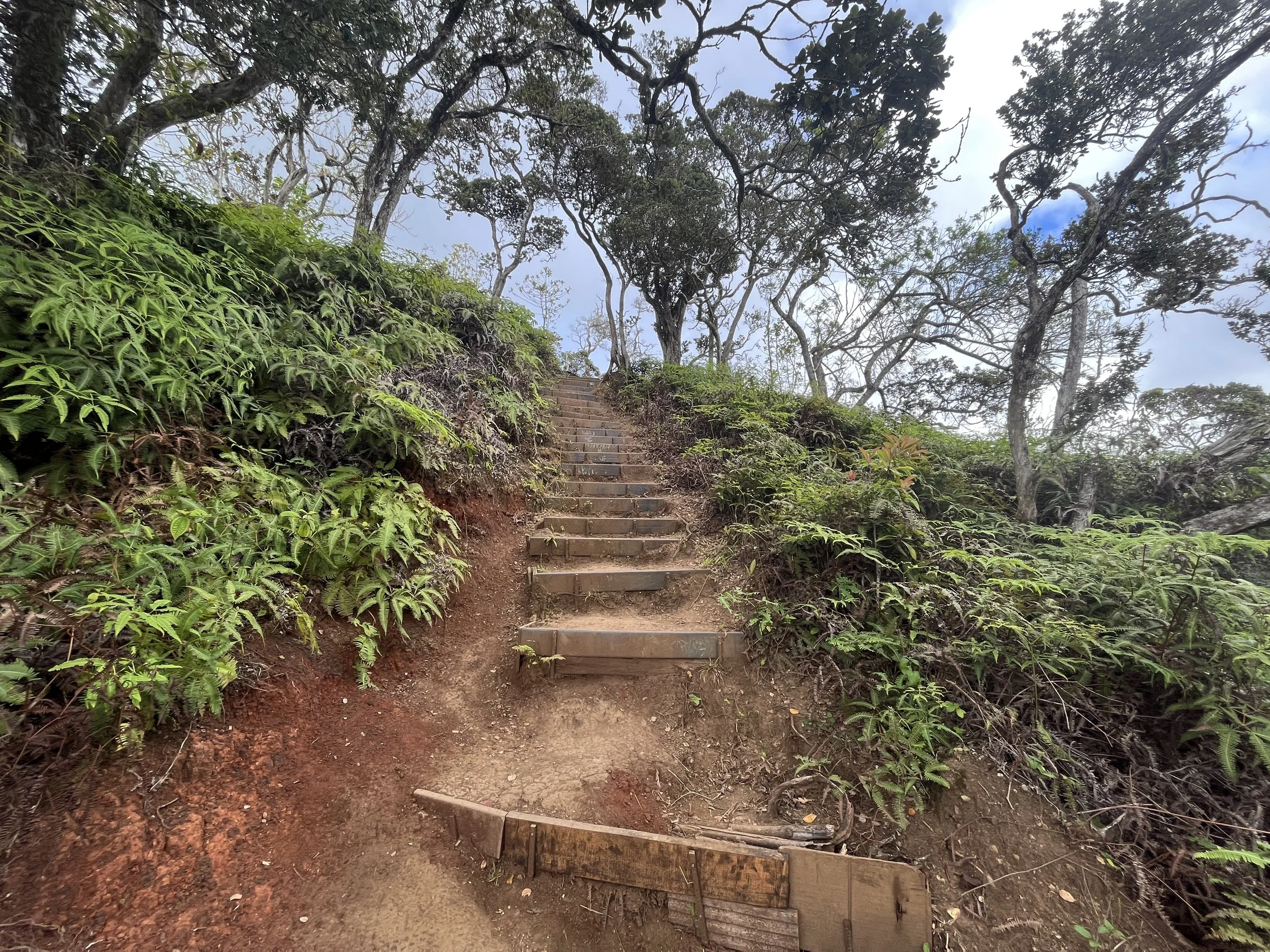 Hiking the Kuliʻouʻou Ridge Trail on Oʻahu — noahawaii