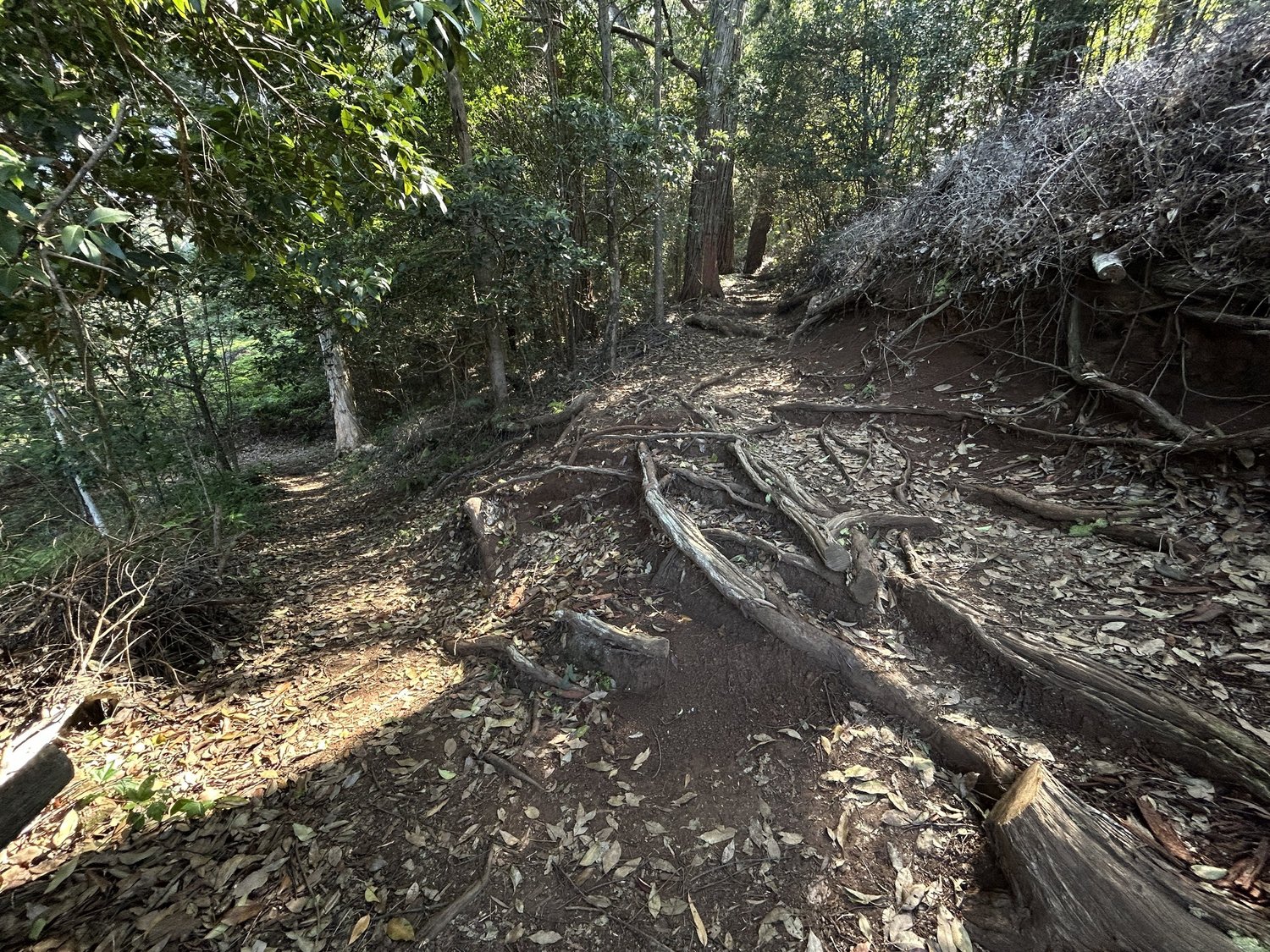 Hiking the Kaunala Loop Trail on the North Shore of Oʻahu, Hawaiʻi ...