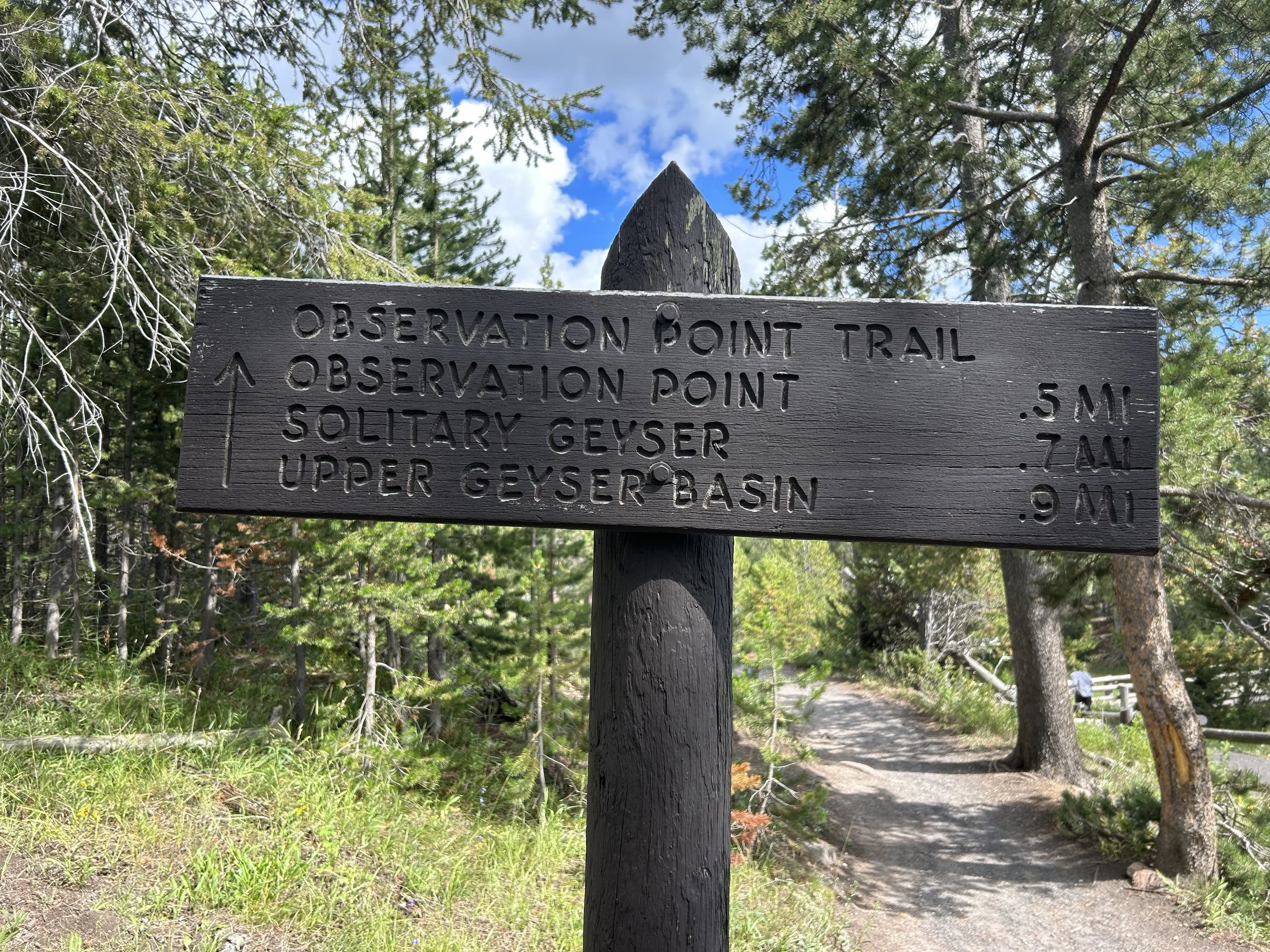 Hiking the Observation Point Trail in Yellowstone National Park — noahawaii