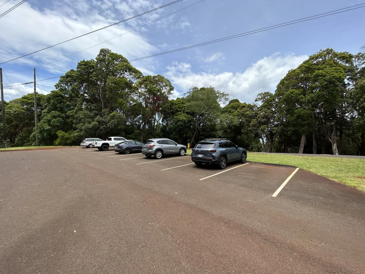 Hiking the ʻAiea Loop Trail on Oʻahu, Hawaiʻi — noahawaii