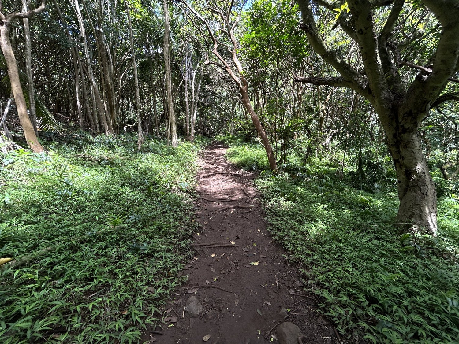 Hiking the Hauʻula Loop Trail on the North Shore of Oʻahu, Hawaiʻi ...