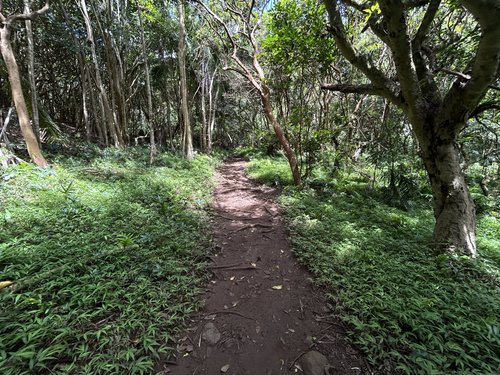 Hiking the Hauʻula Loop Trail on the North Shore of Oʻahu, Hawaiʻi ...