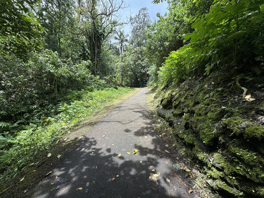 Hiking the Keʻanae Arboretum Trail on Maui, Hawaiʻi — noahawaii