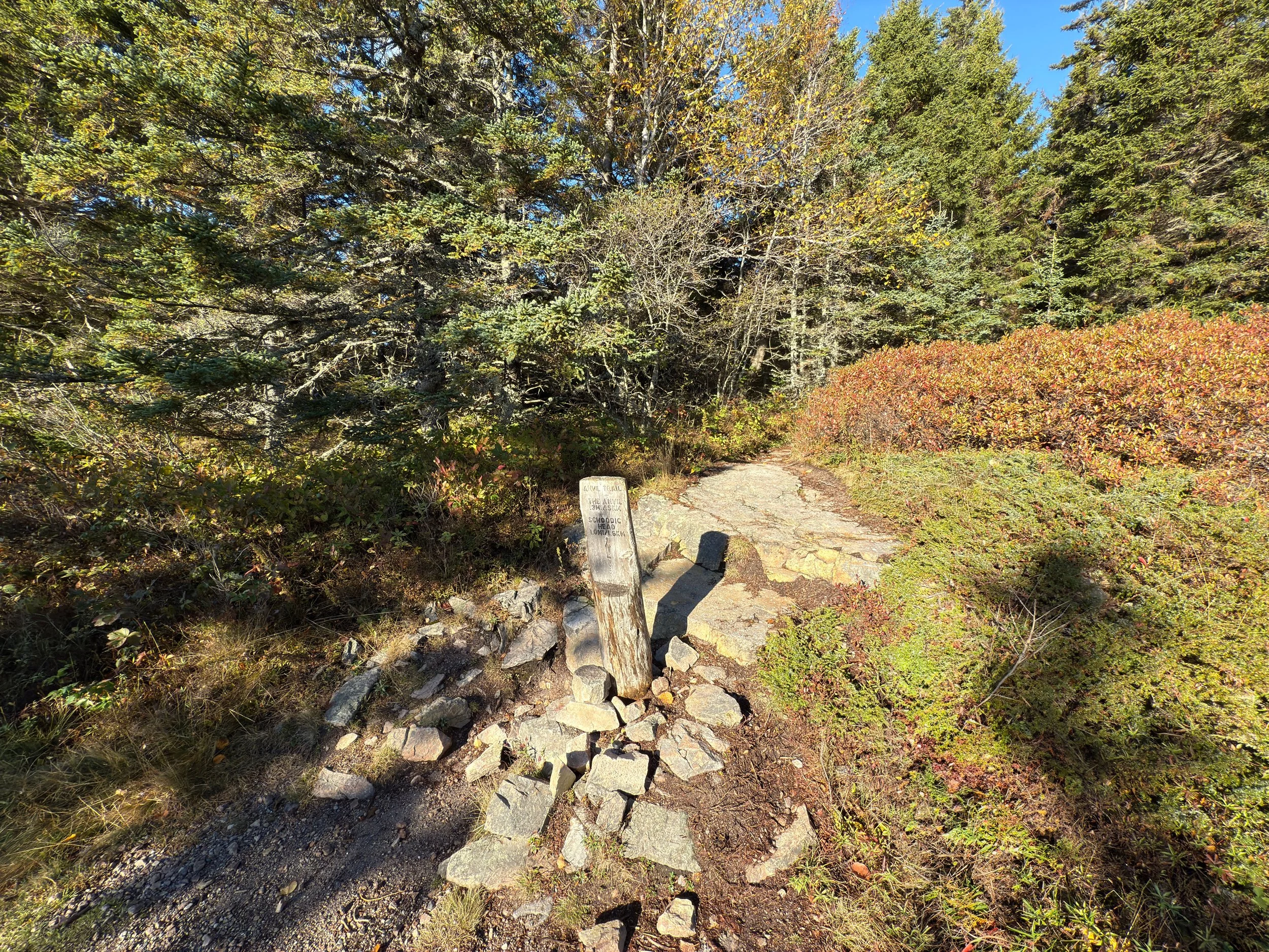 Hiking the Anvil-Schoodic Head-Alder Loop Trail in Acadia National Park ...