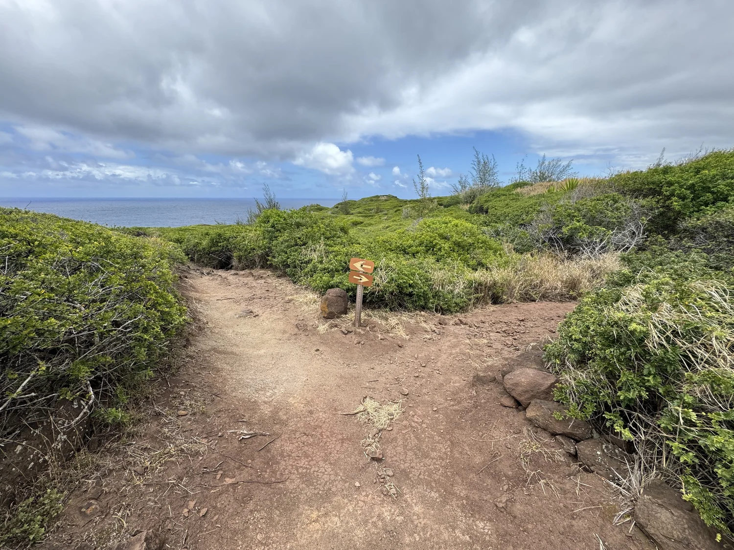 Hiking the ʻŌhai Loop Trail on Maui, Hawaiʻi — noahawaii