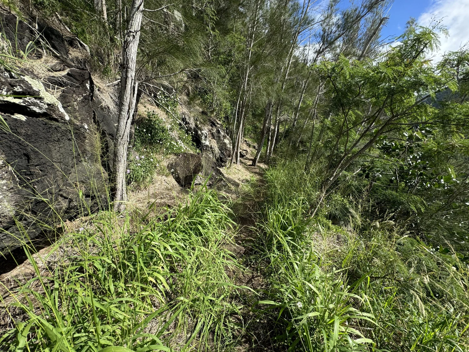 Hiking the Kapālama Ridge Trail to Puʻu Lanihuli on Oʻahu, Hawaiʻi ...