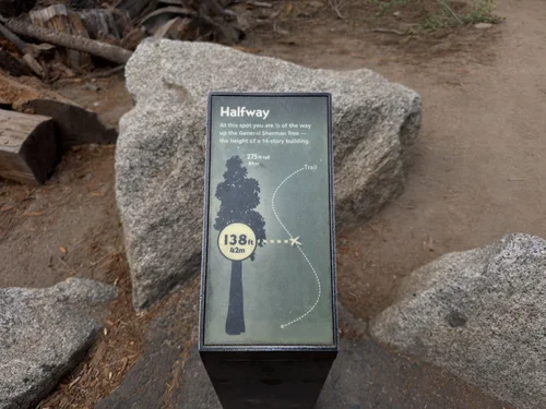Hiking the Congress Trail in Sequoia National Park — noahawaii
