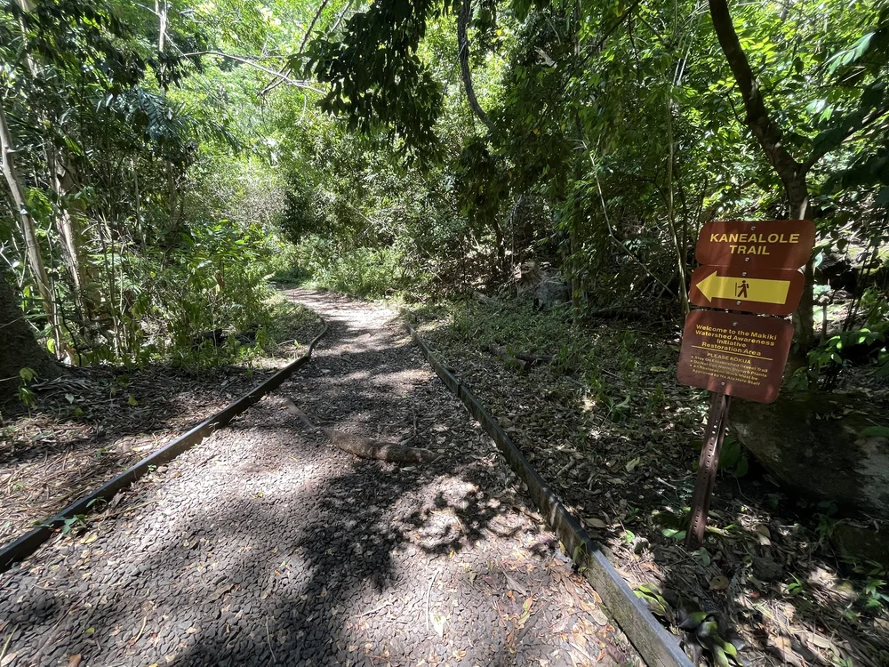 Hiking the Tantalus Loop Trail to the Pauoa Flats Bench on Oʻahu ...