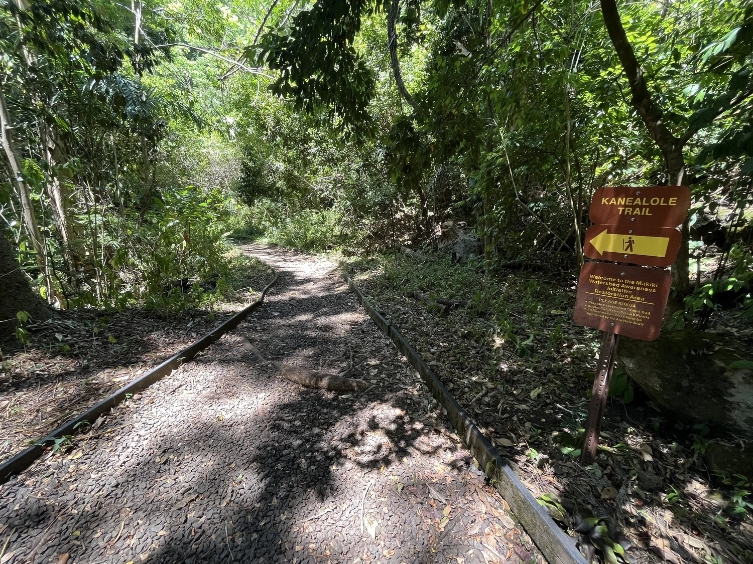Hiking the Tantalus Loop Trail to the Pauoa Flats Bench on Oʻahu ...
