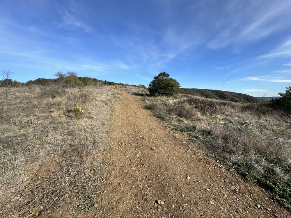 Hiking the Nighthawk Trail to Black Mountain Summit in San Diego ...