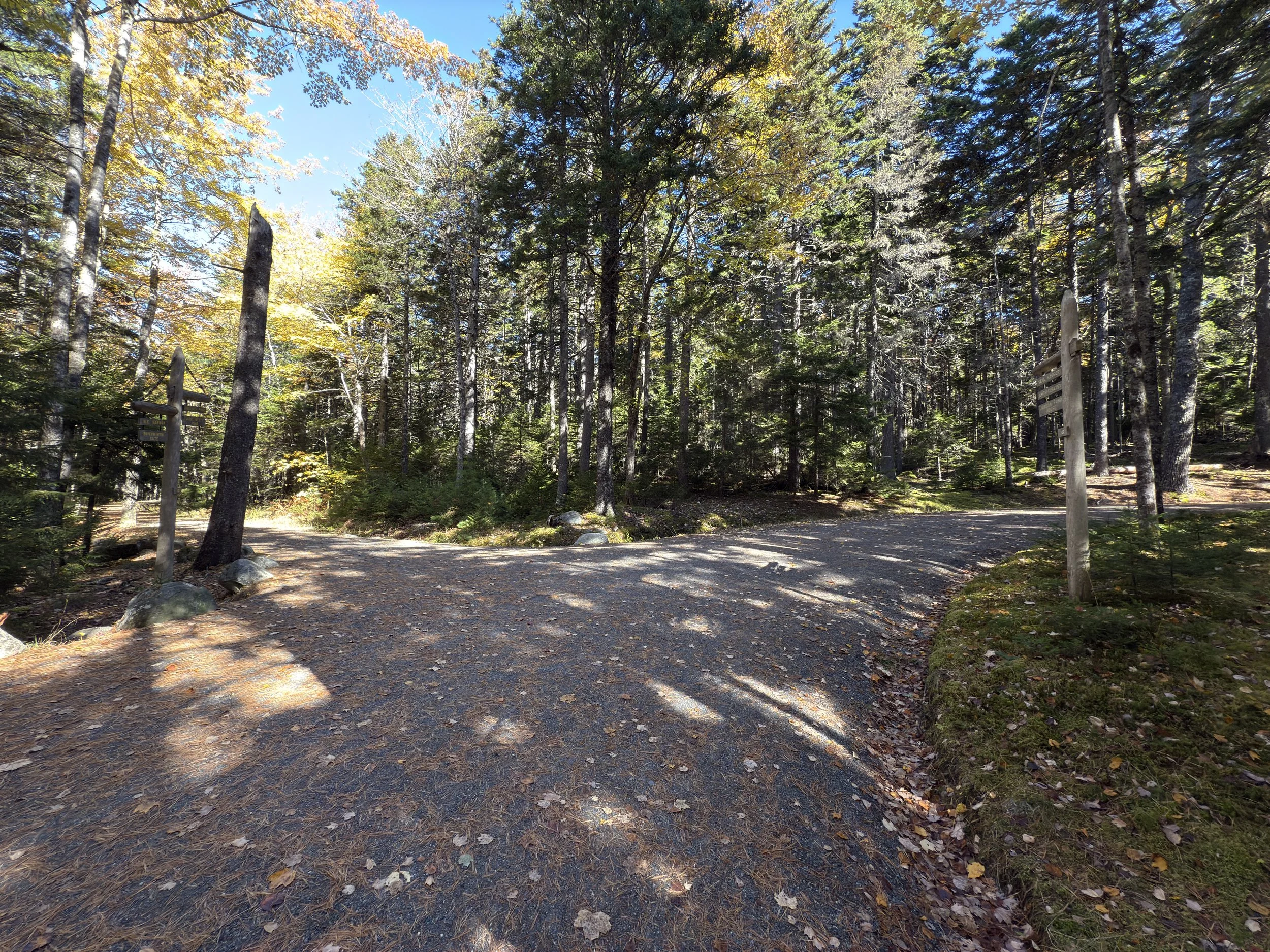 Hiking Cedar Swamp Mountain via Sargent South Ridge Trail in Acadia ...