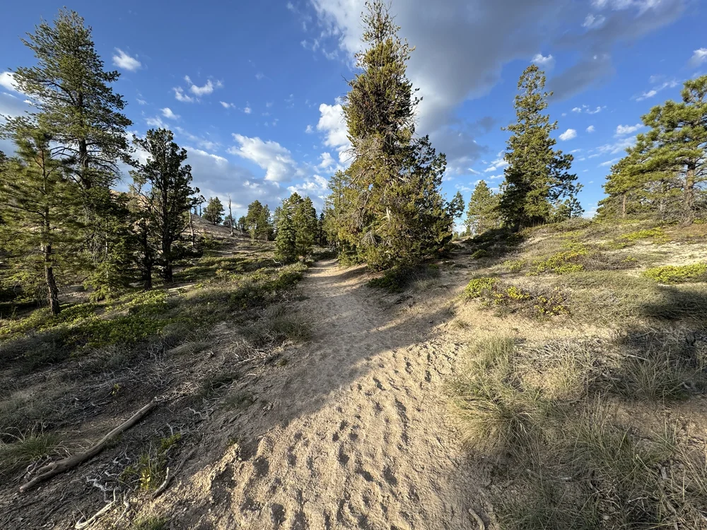 Hiking the Under-the-Rim Trail (North to South) in Bryce Canyon ...
