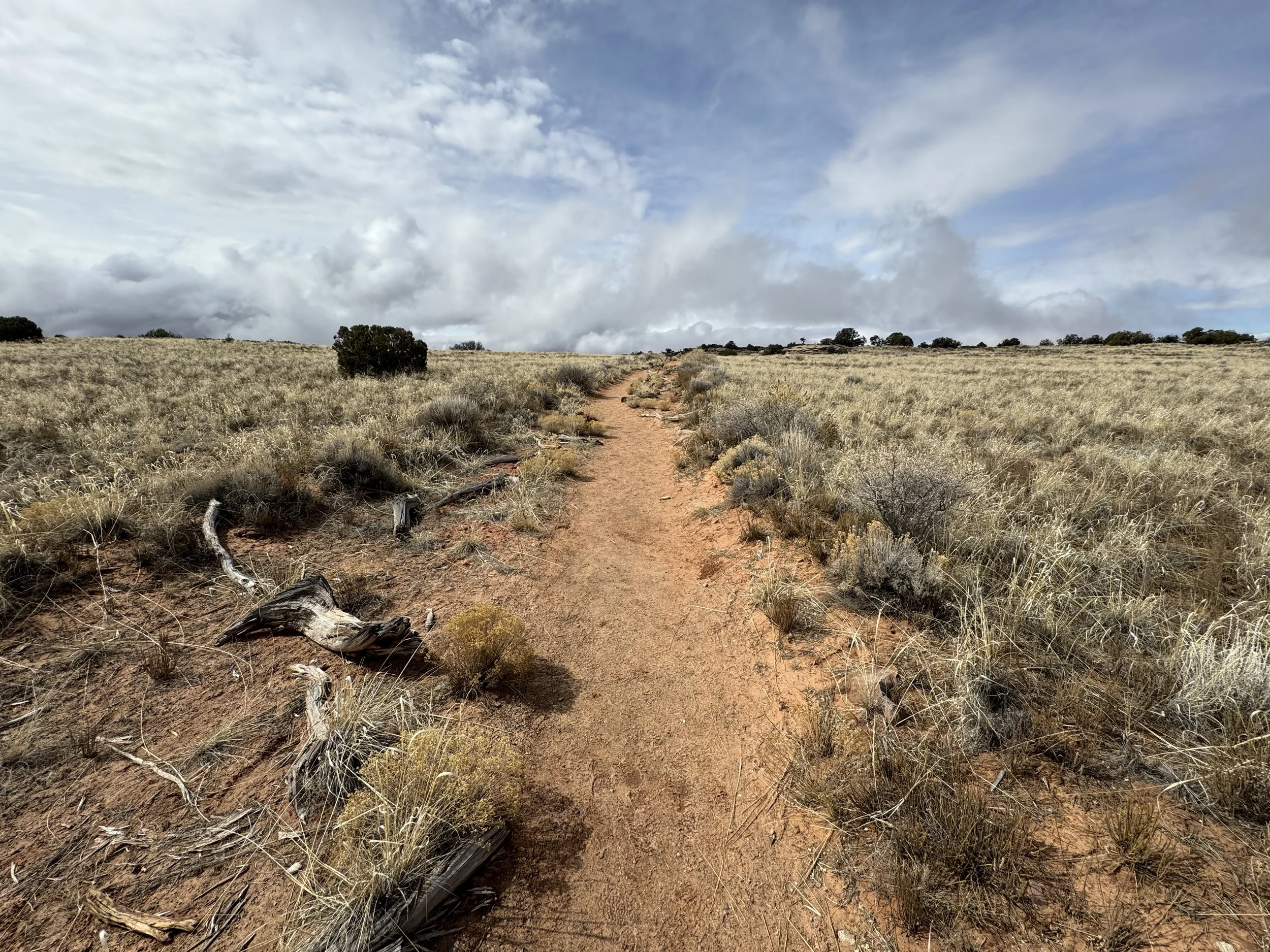 Hiking the Murphy Point Trail in Canyonlands National Park — noahawaii