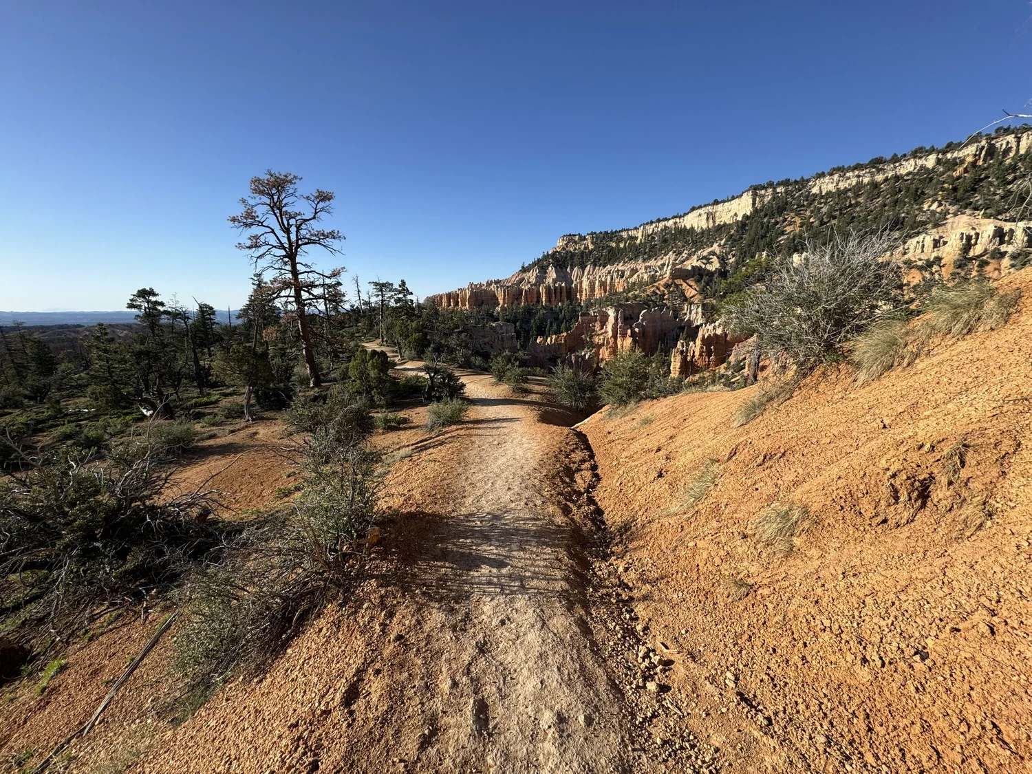 Hiking the Fairyland Loop Trail in Bryce Canyon National Park — noahawaii