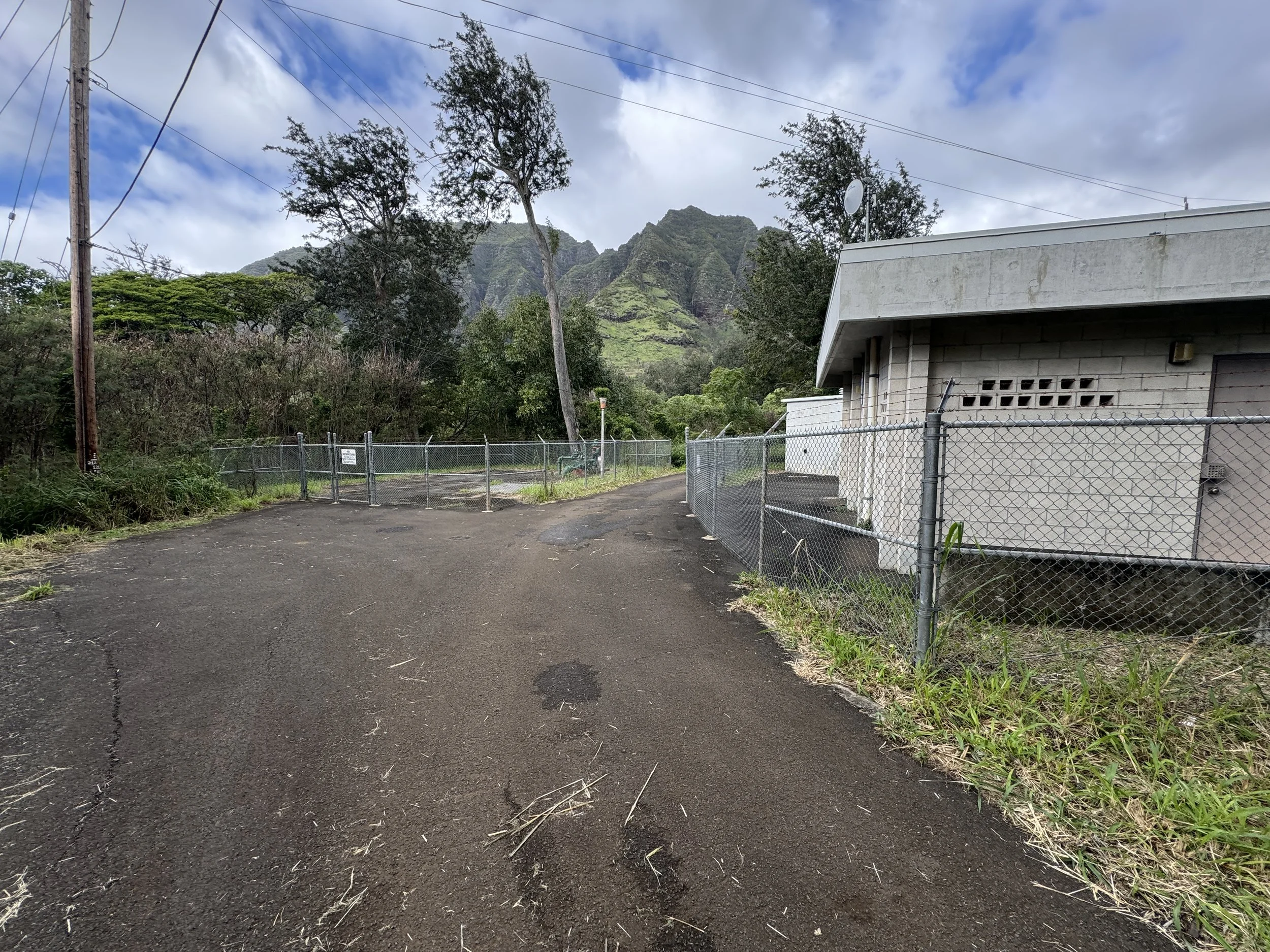 Hiking Mt. Kaʻala: The Tallest Peak on Oʻahu, Hawaiʻi — noahawaii