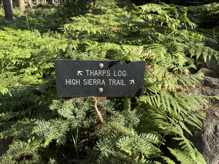 Hiking the Crescent Meadow Loop Trail in Sequoia National Park — noahawaii