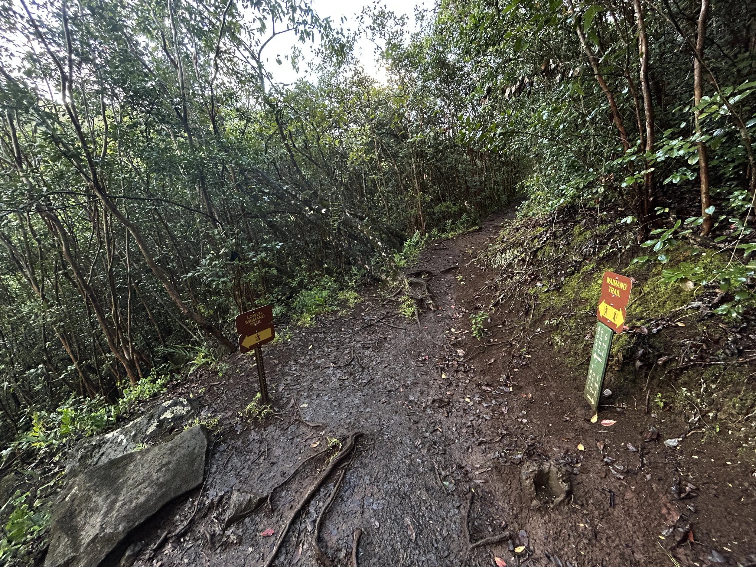 Waimano Trail