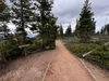 Hiking the Riggs Spring Loop Trail in Bryce Canyon National Park ...