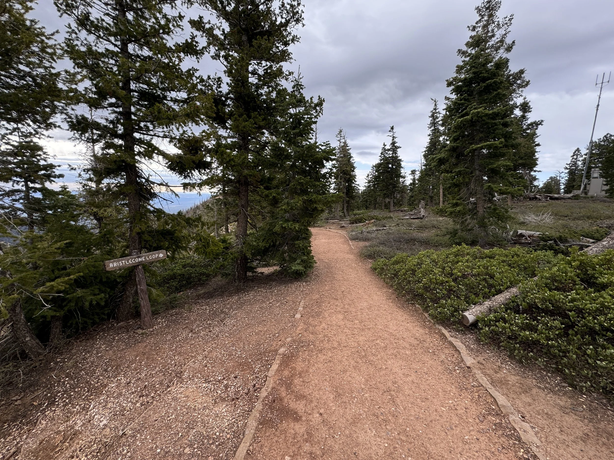 Hiking the Riggs Spring Loop Trail in Bryce Canyon National Park ...