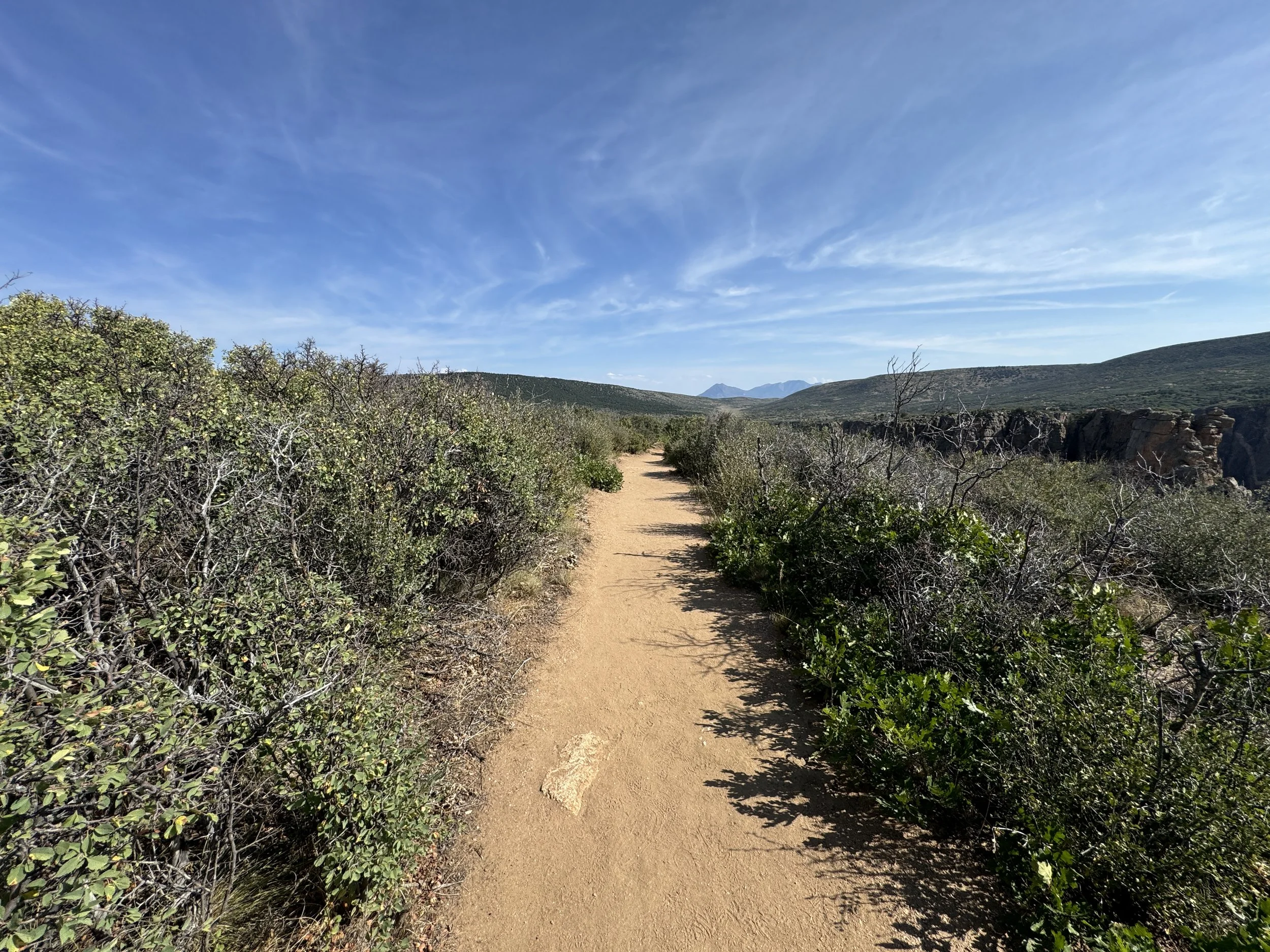 Hiking the Devil’s Lookout Trail in Black Canyon of the Gunnison ...