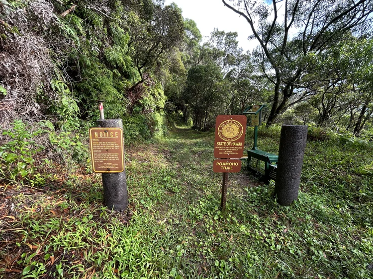 Hiking the Poamoho Trail on Oʻahu, Hawaiʻi — noahawaii