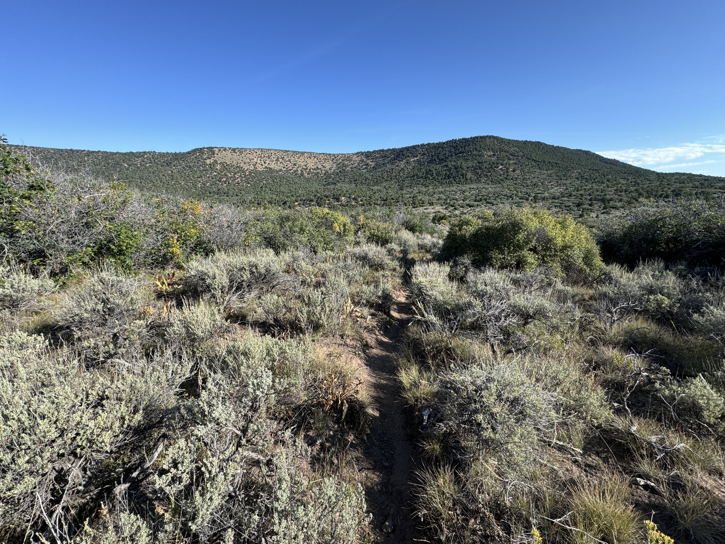 Hiking the Pinyon Draw Trail (S.O.B. Draw) in Black Canyon of the ...