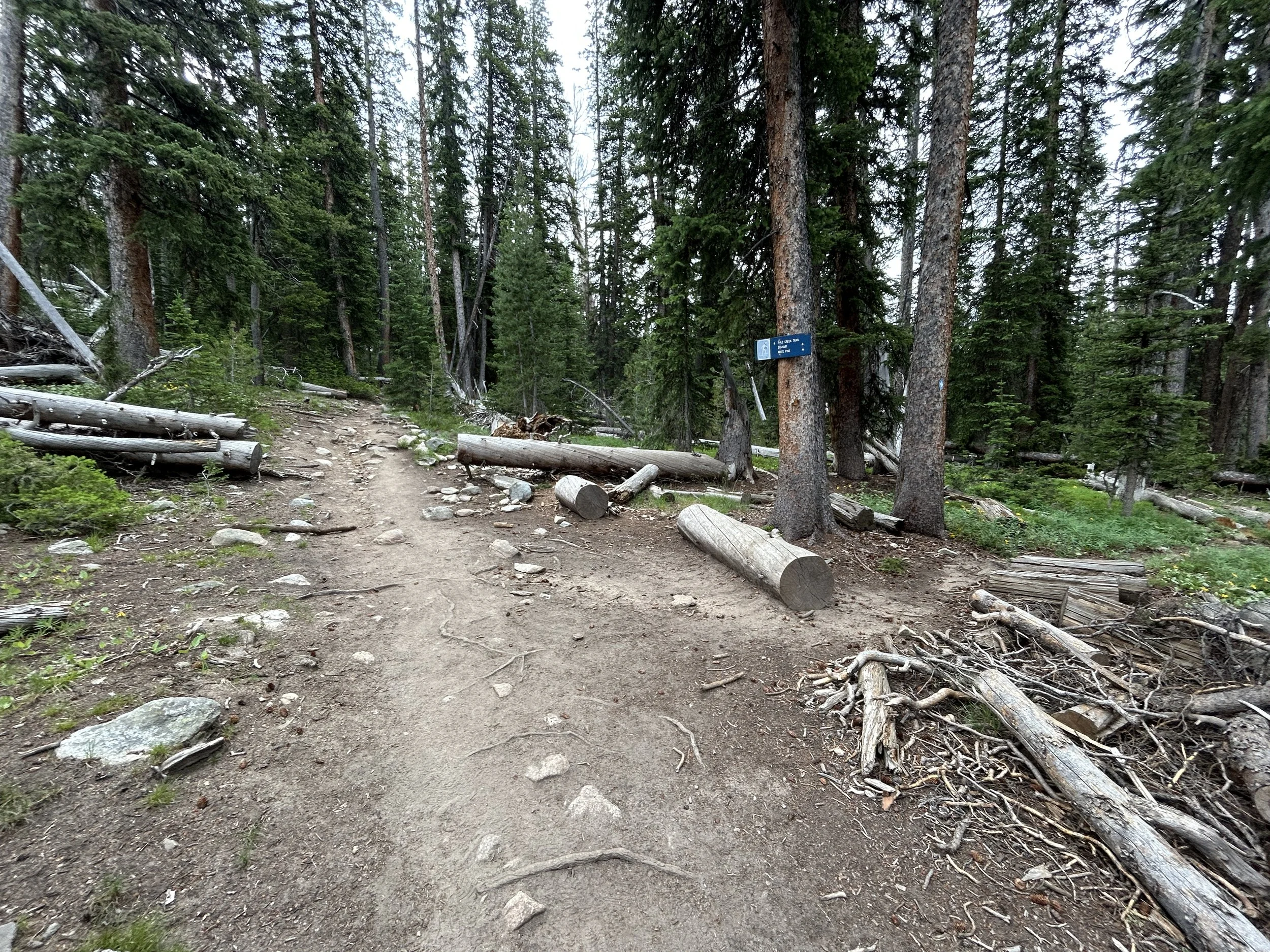 Climbing Gannett Peak via Titcomb Basin: The Tallest Peak in Wyoming ...