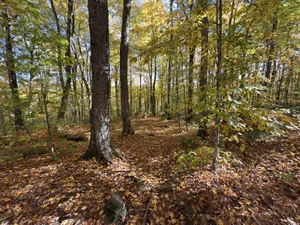 Hiking the Little Moose Pond Loop Trail in Greenville, Maine — noahawaii