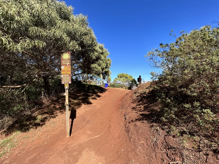 Hiking the Iliau Nature Loop Trail in the Waimea Canyon on Kauaʻi ...