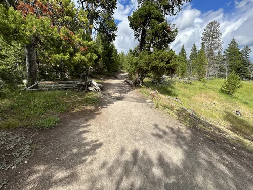Hiking the Observation Point Trail in Yellowstone National Park — noahawaii