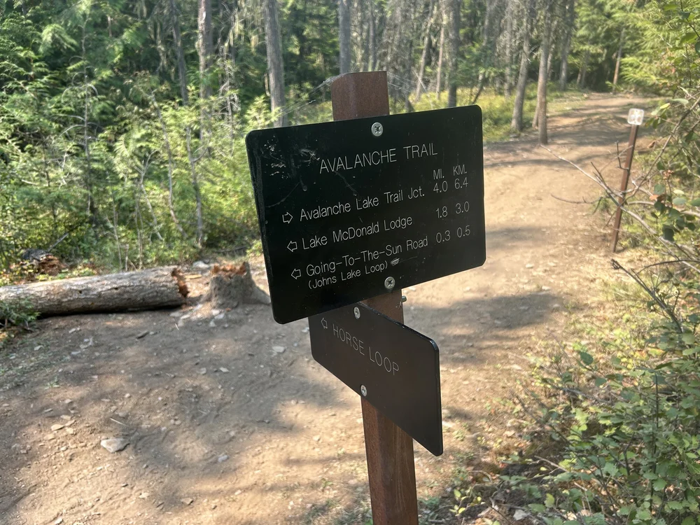 Hiking the Johns Lake Loop Trail in Glacier National Park — noahawaii