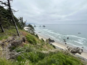 Hiking the Crescent Beach Trail on the Oregon Coast — noahawaii