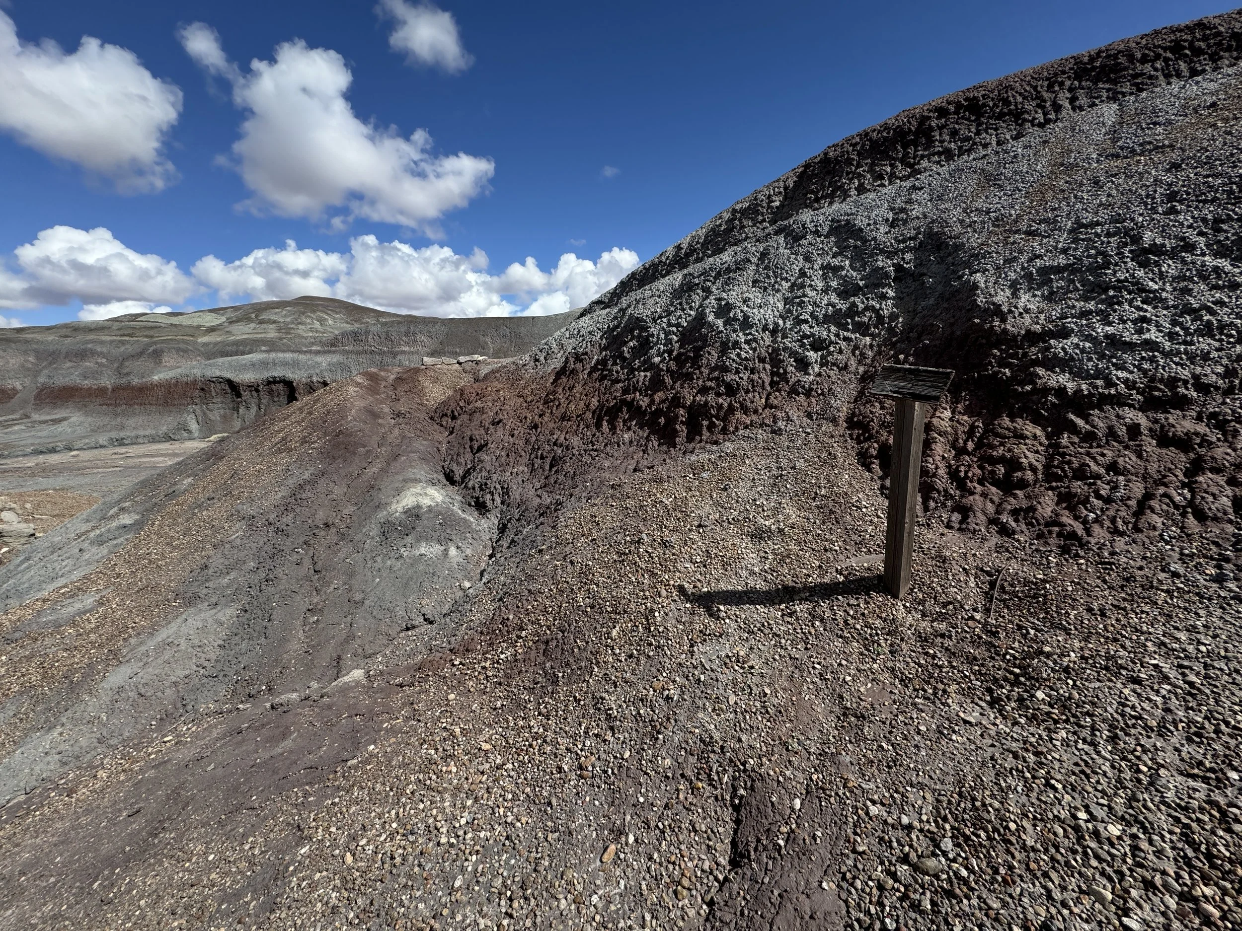 Hiking the Historic Blue Forest Trail in Petrified Forest National Park ...
