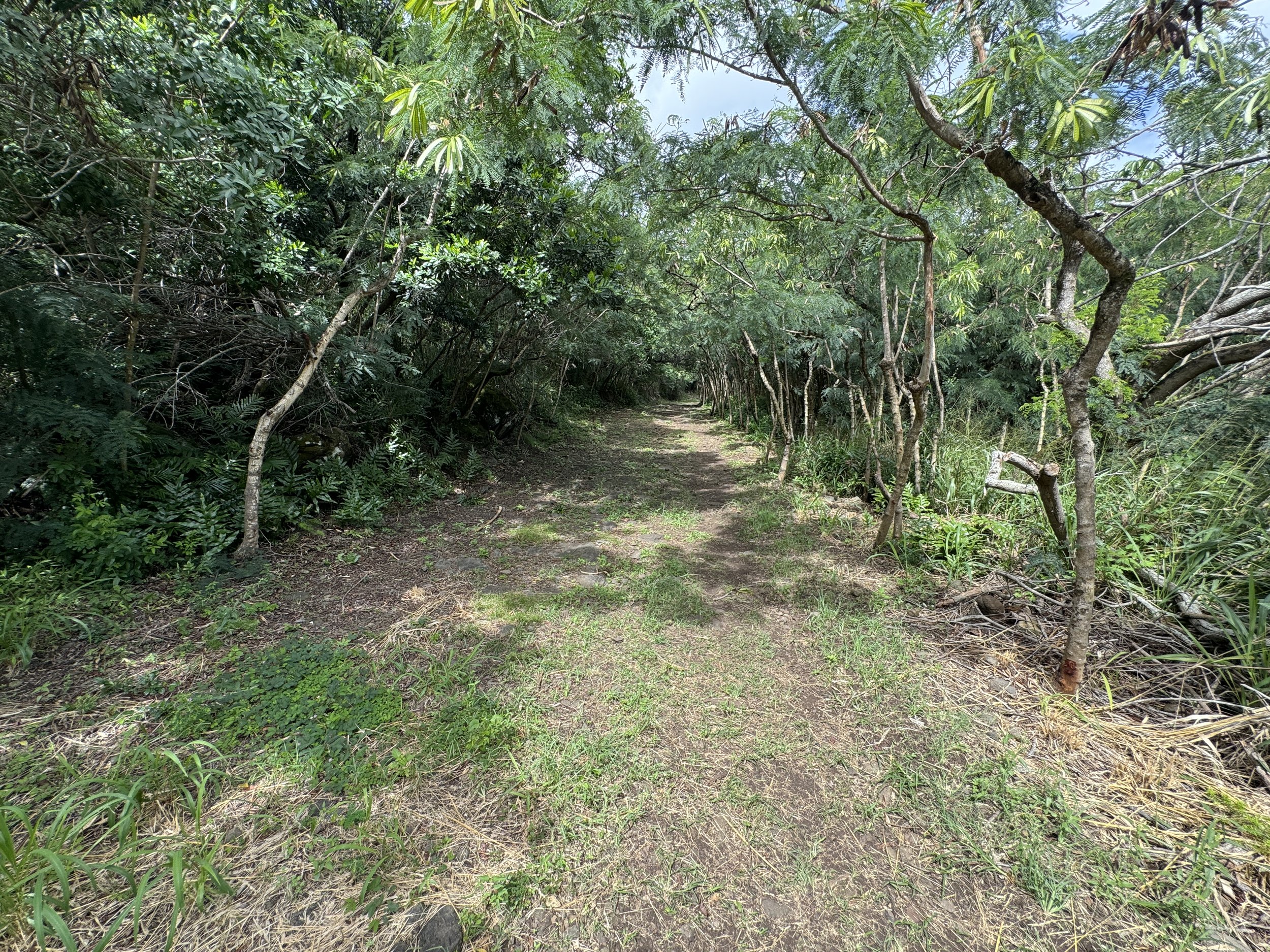 Hiking the Wailupe Loop Trail on Oʻahu, Hawaiʻi — noahawaii