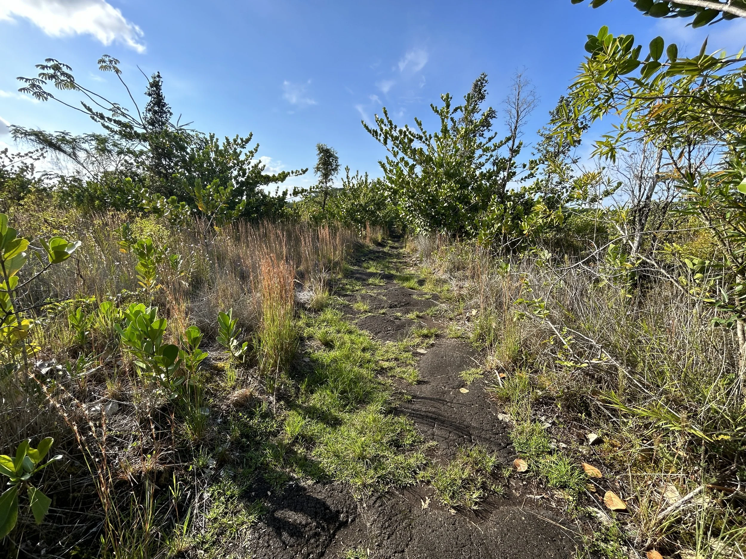 Hiking the Puna Trail to Hāʻena Beach on the Big Island of Hawaiʻi ...