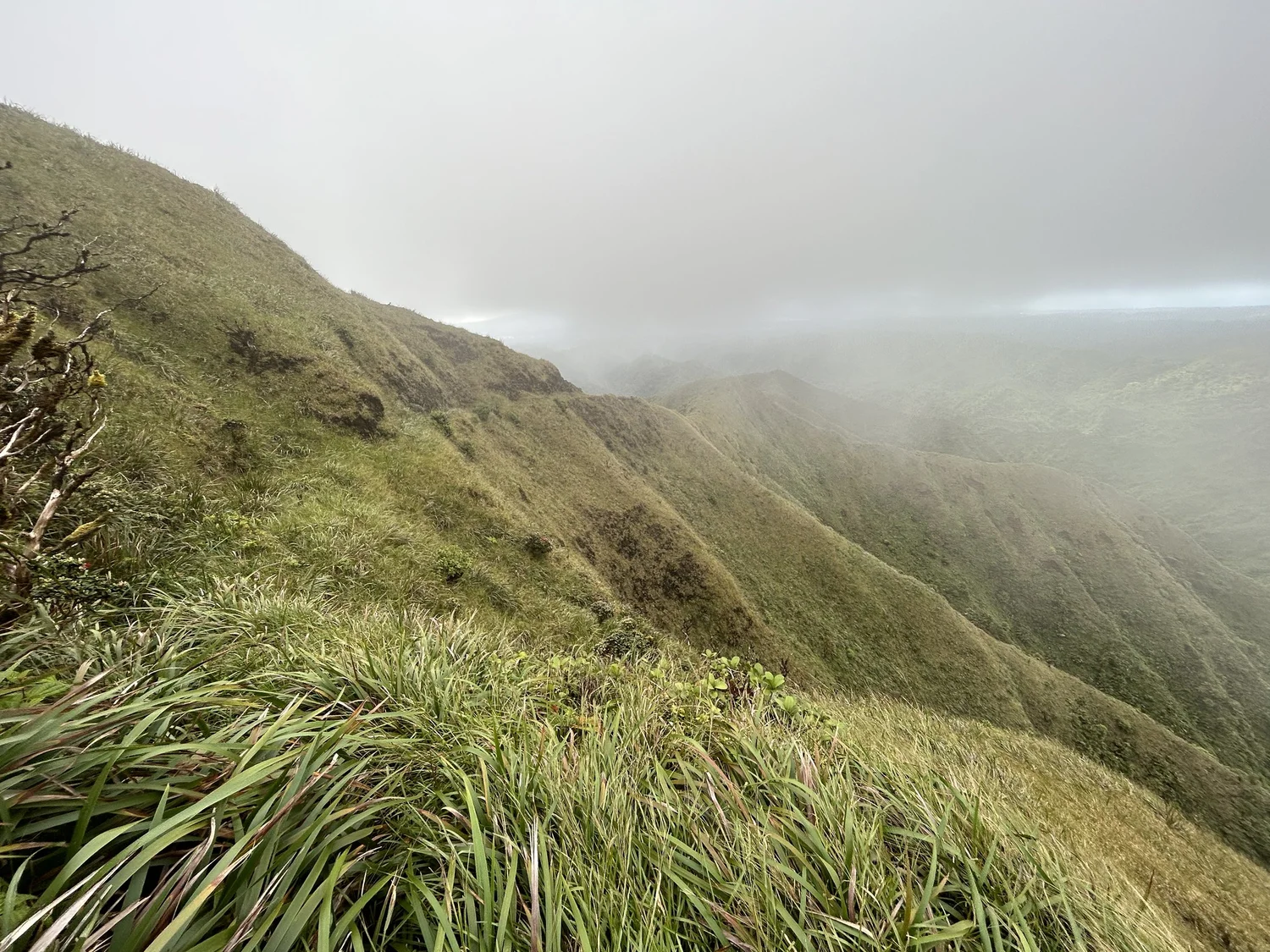 Hiking the Kīpapa Ridge Trail on Oʻahu, Hawaiʻi — noahawaii