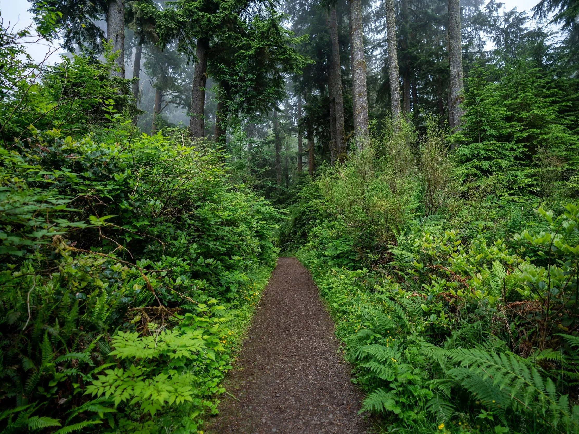 Hiking the Cathedral Tree Trail to the Astoria Column on the Oregon ...